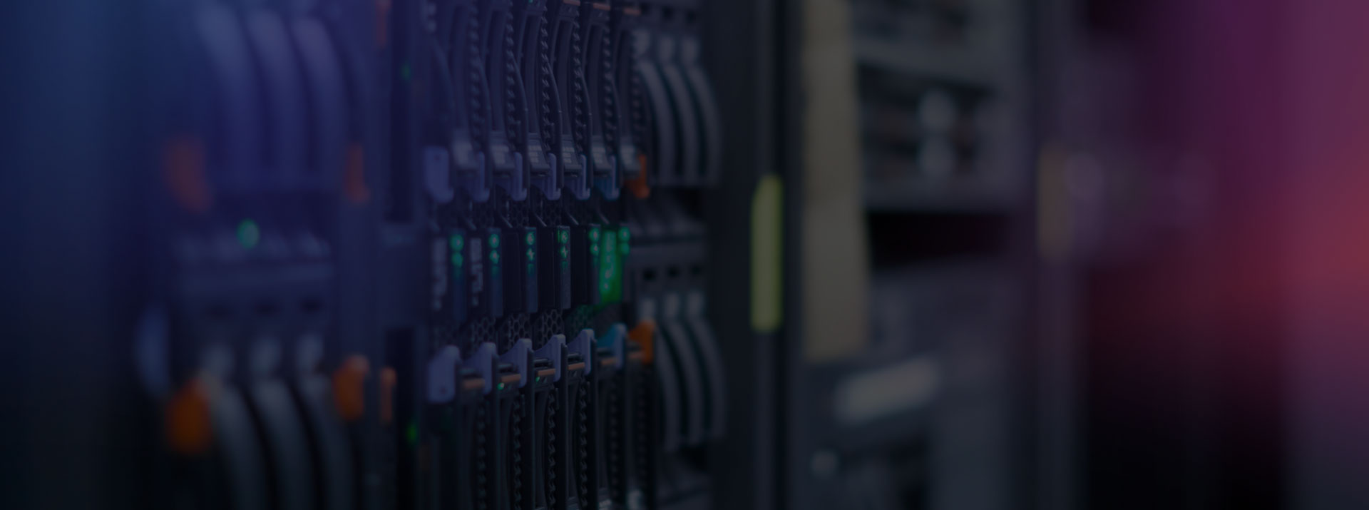 Onze Samenwerking met Amnesty International | VDMi